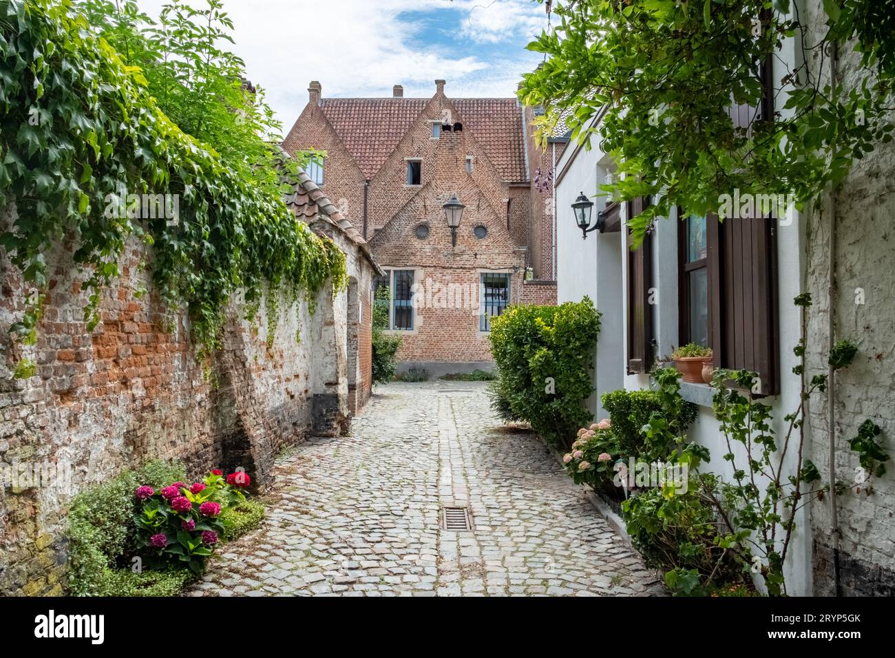 Empty Cobblestone street or laneway in the Groot Begijnhof, the large ...