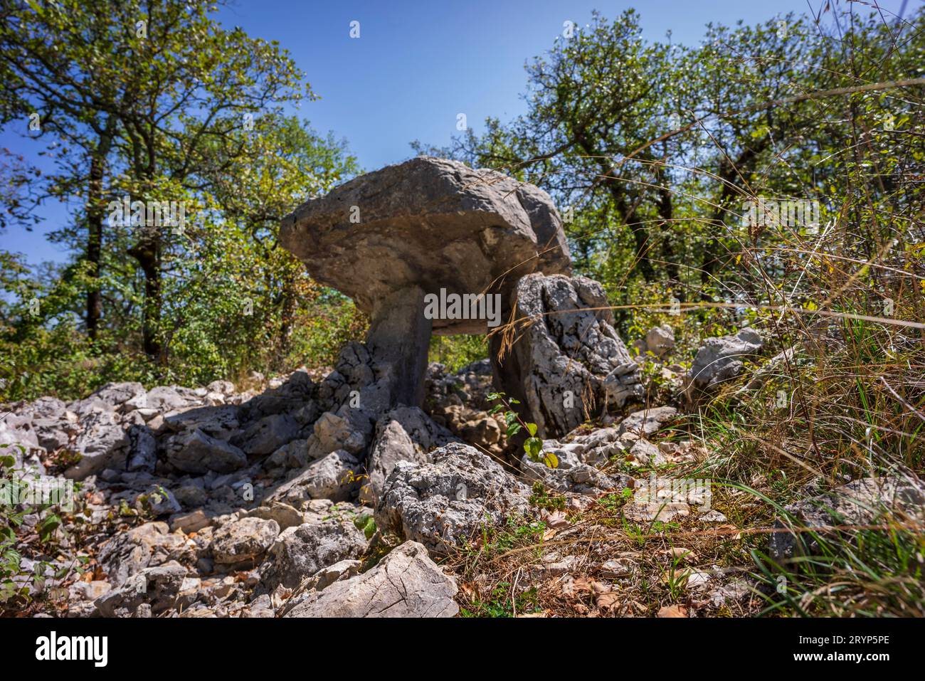 Dolmen Brillaud, Mas d'Azil , Ariège Pyrenees regional natural park ...