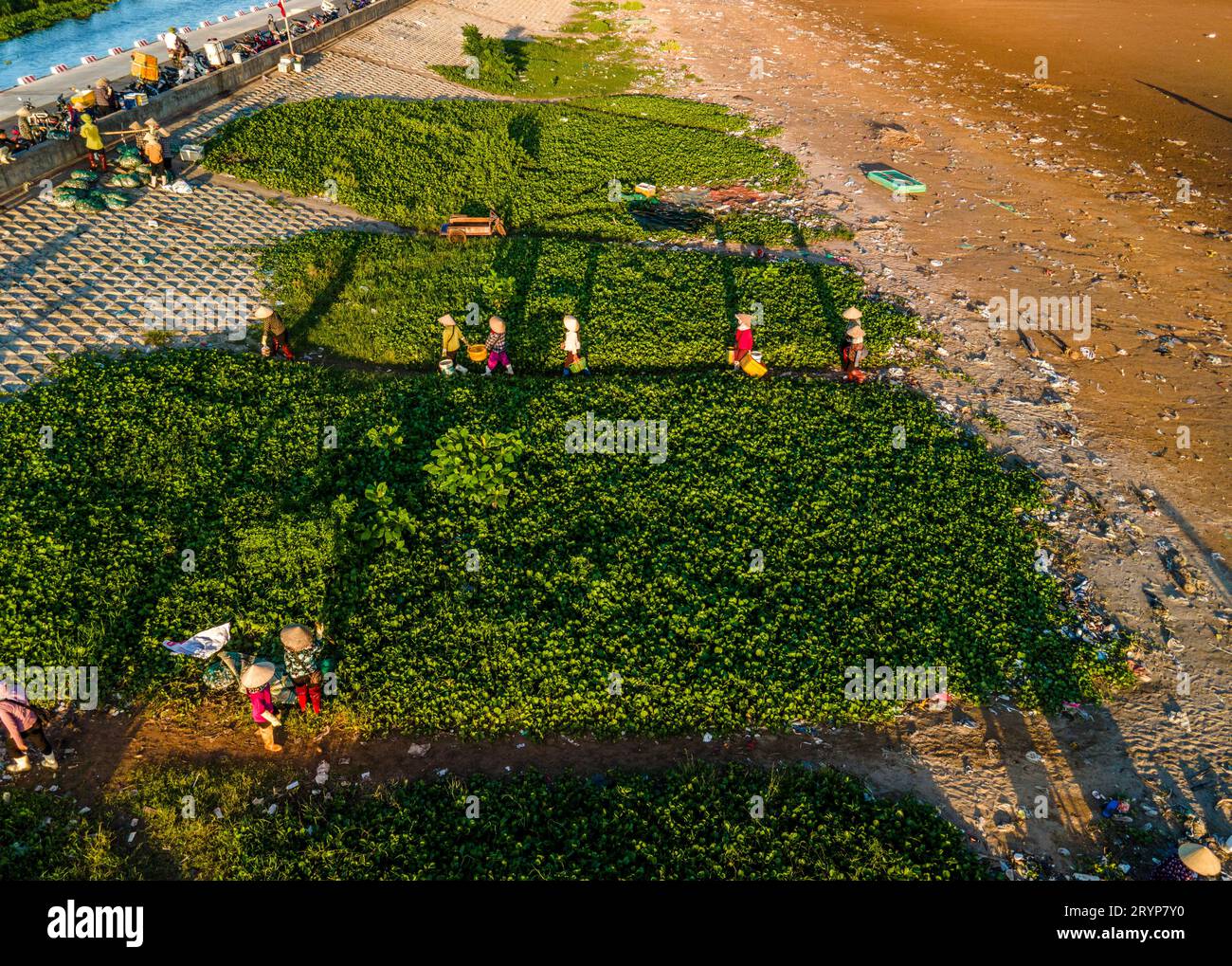 People in a fish market on beach Stock Photo - Alamy