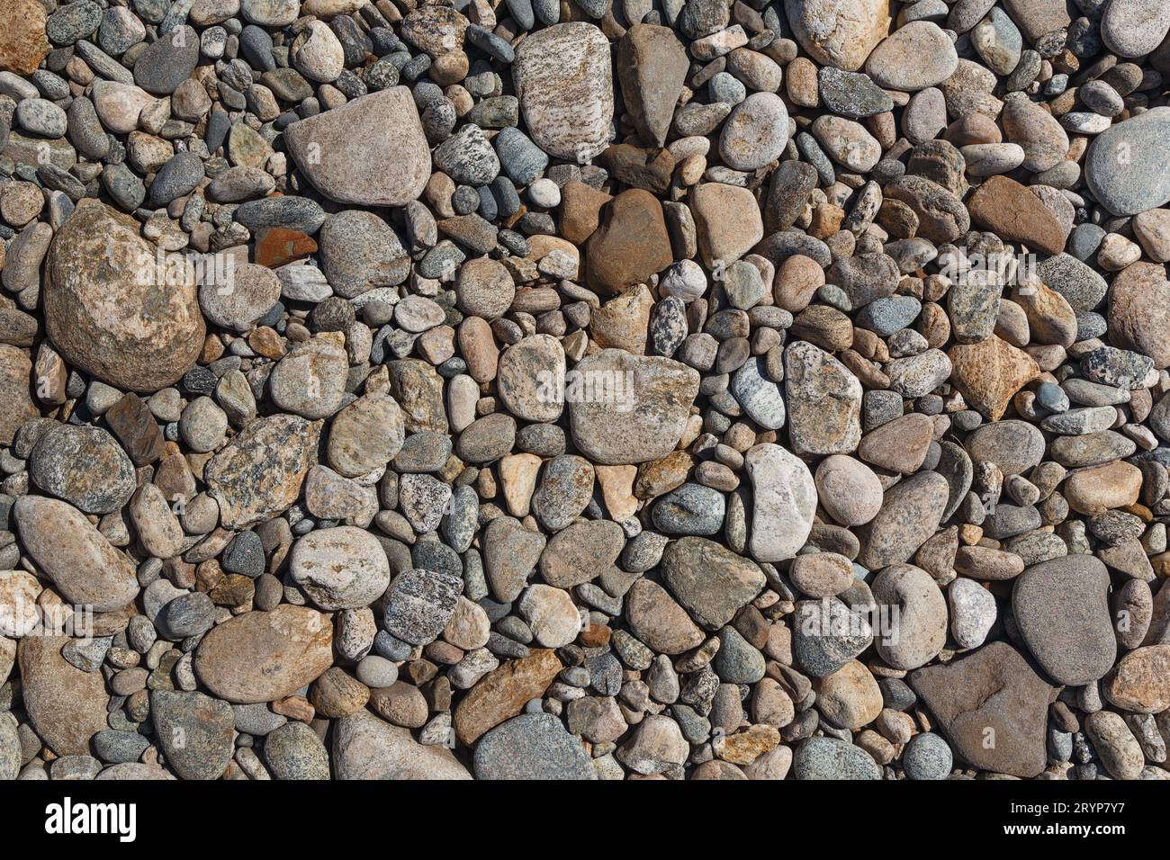River pebbles with different textures close-up. Stone background Stock ...