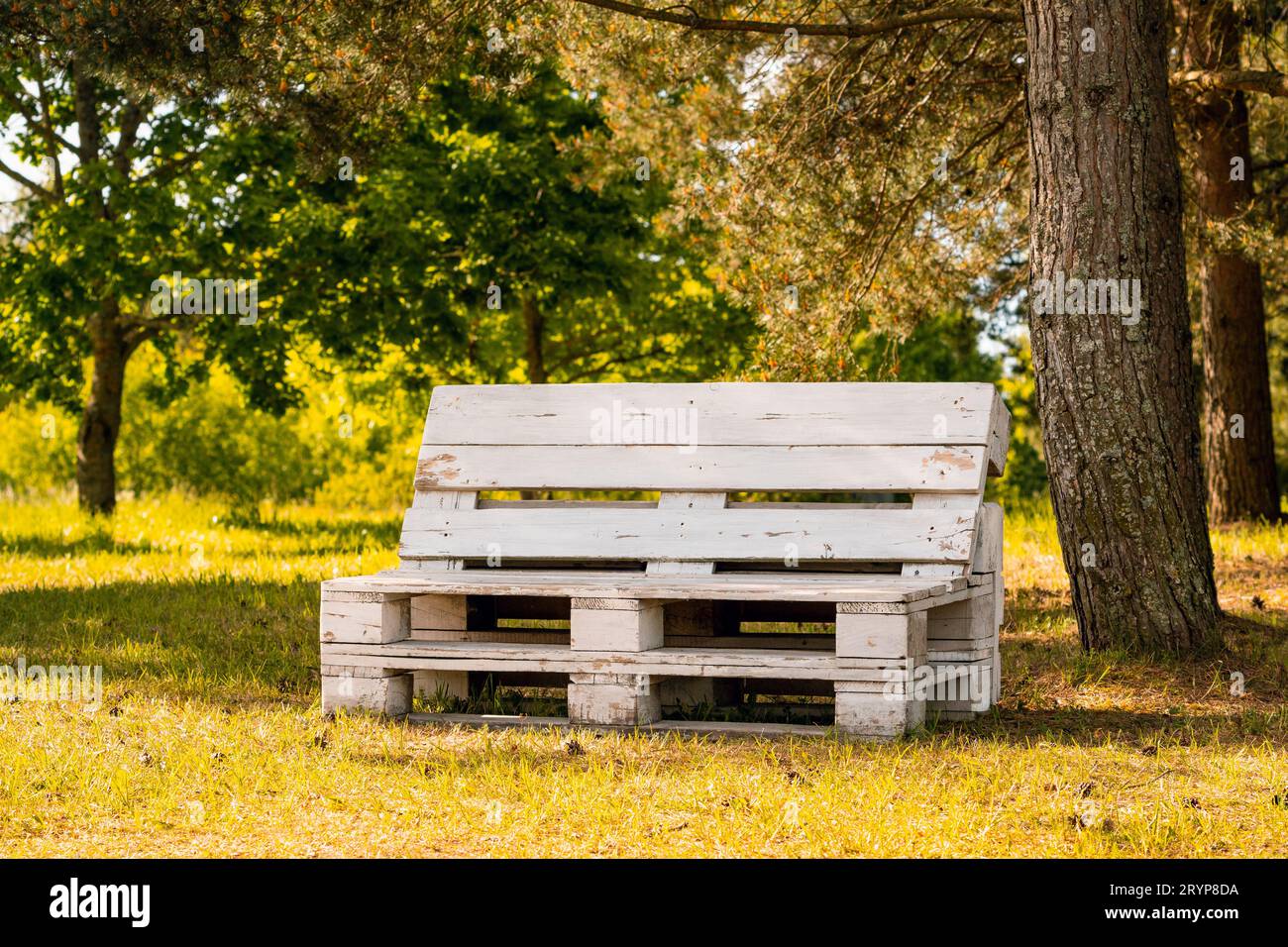 Relax area in the park with an ecological bench made with industrial ...