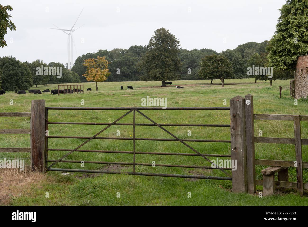 Jurassic way footpath hi-res stock photography and images - Alamy