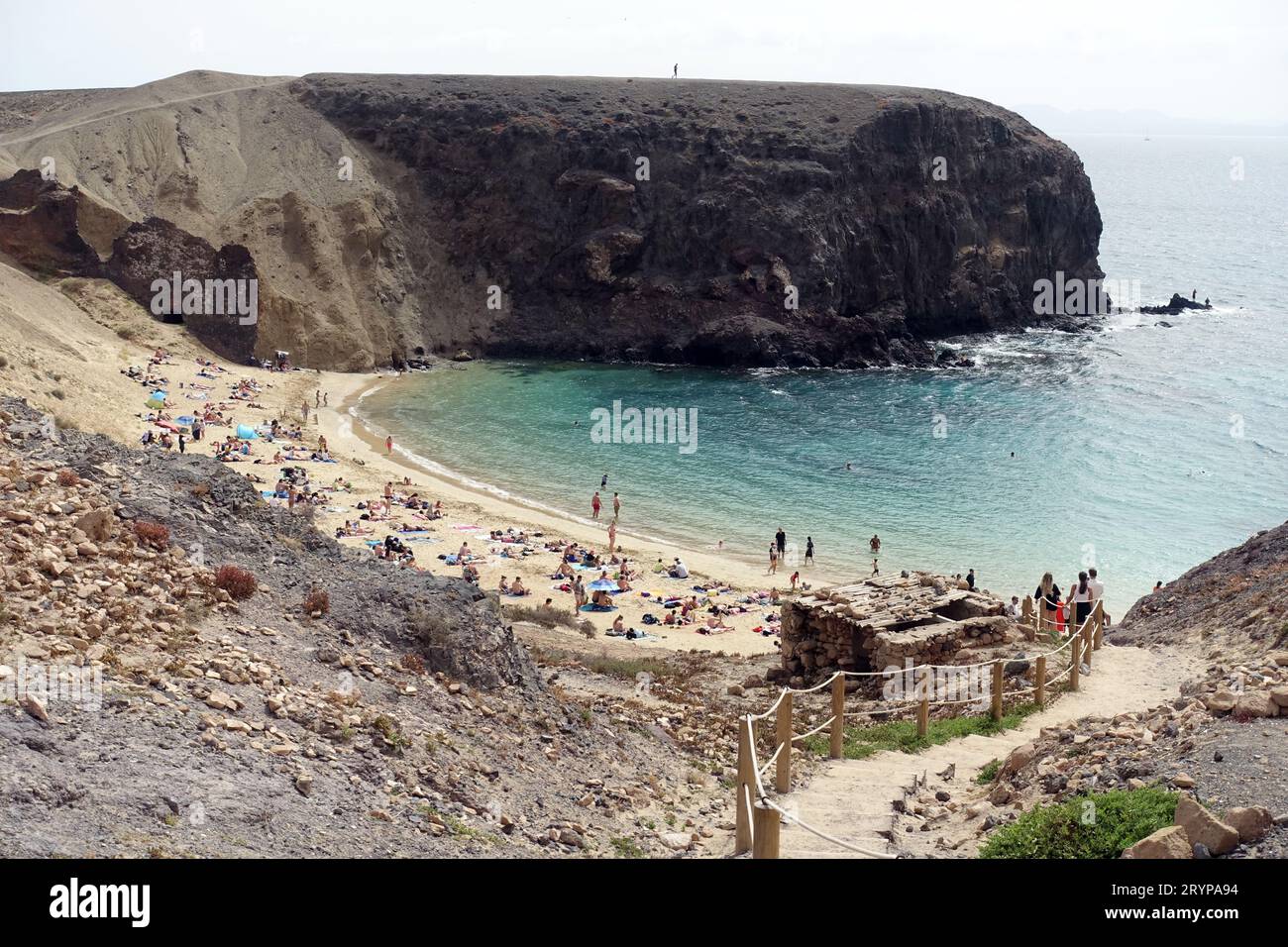 Parrot beach in Lanzarote Stock Photo - Alamy