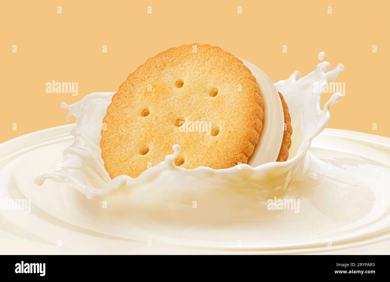 Sandwich cookie falling into milk splash isolated on color background ...