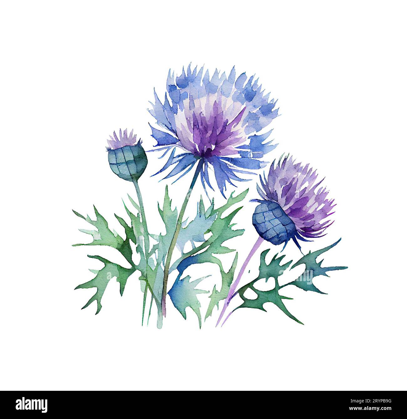 Elegant flower symbol Cut Out Stock Images & Pictures - Alamy