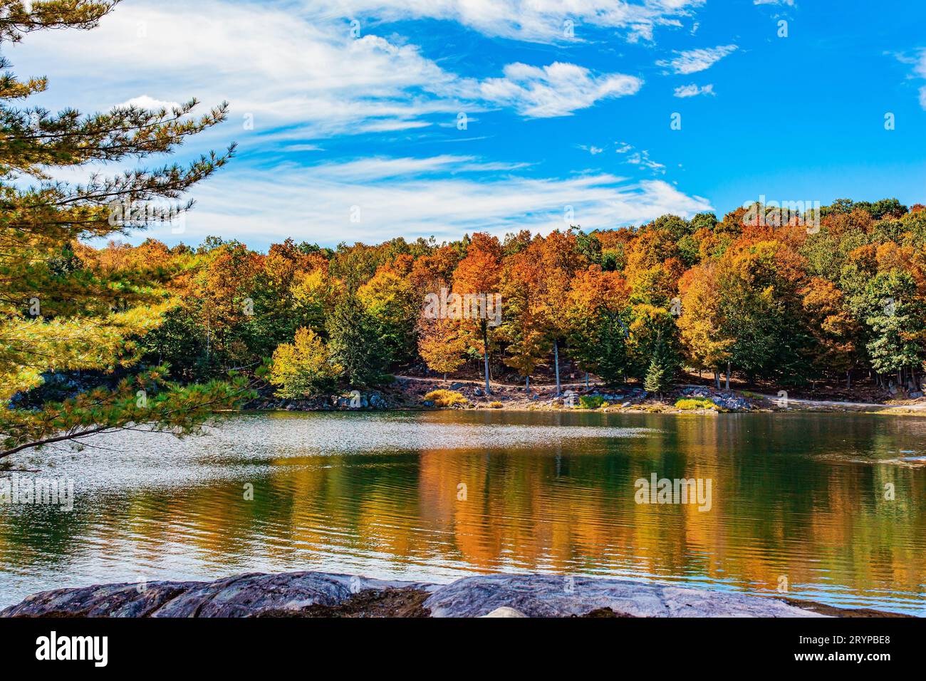 Canadian forest scene hi-res stock photography and images - Alamy