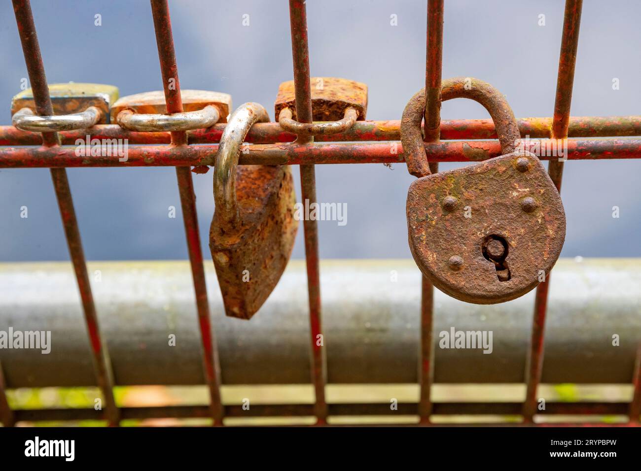 Padlocks on a grid hi-res stock photography and images - Alamy