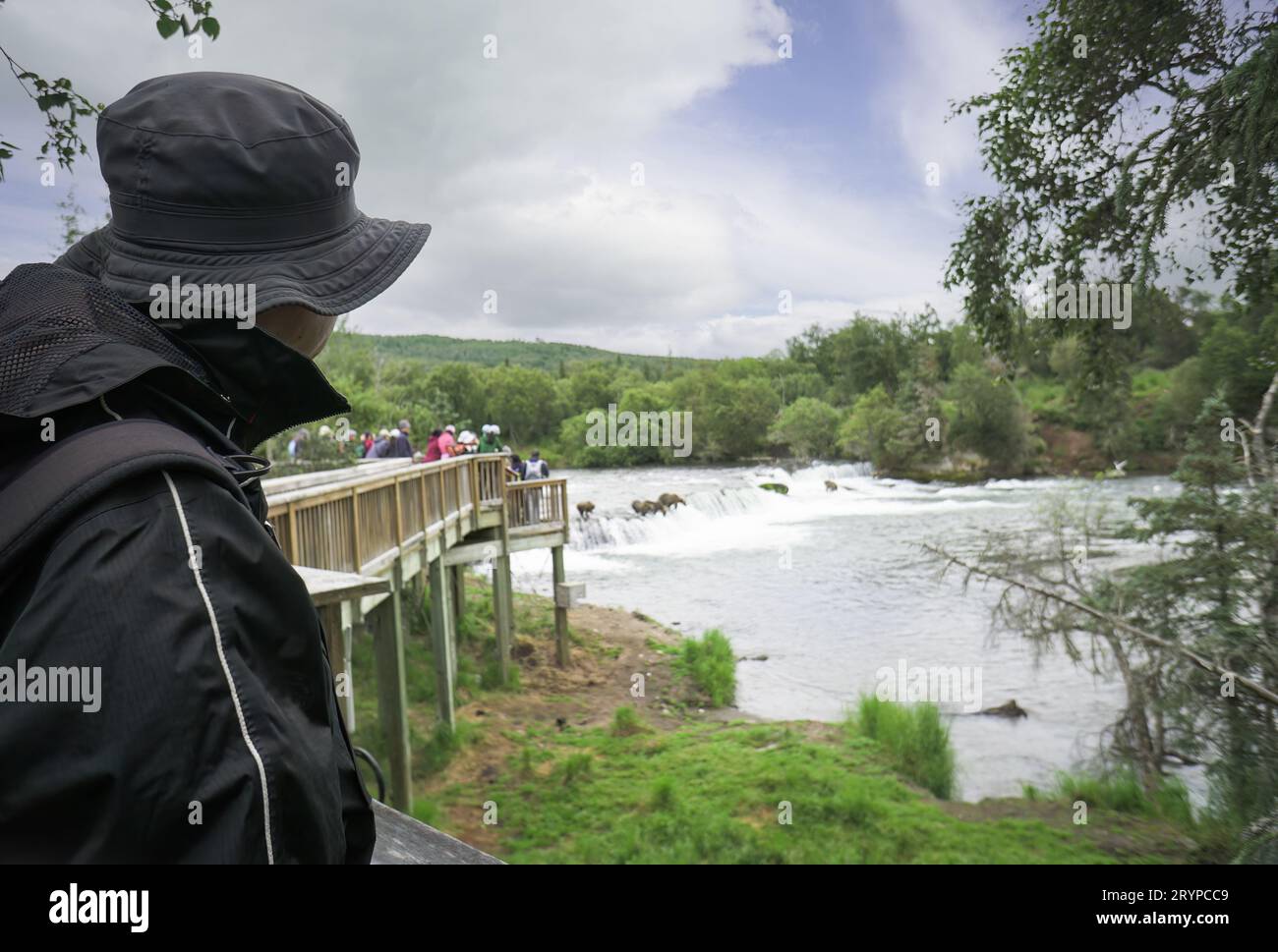 Wildlife viewing platform hi-res stock photography and images - Alamy