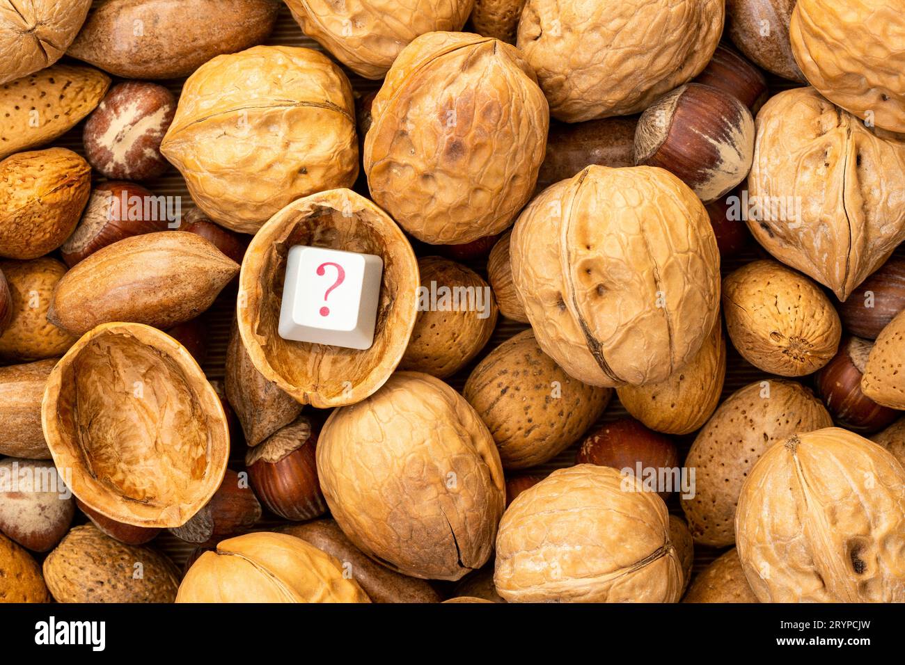 The computer keyboard key with a question mark in the shell of a nut ...