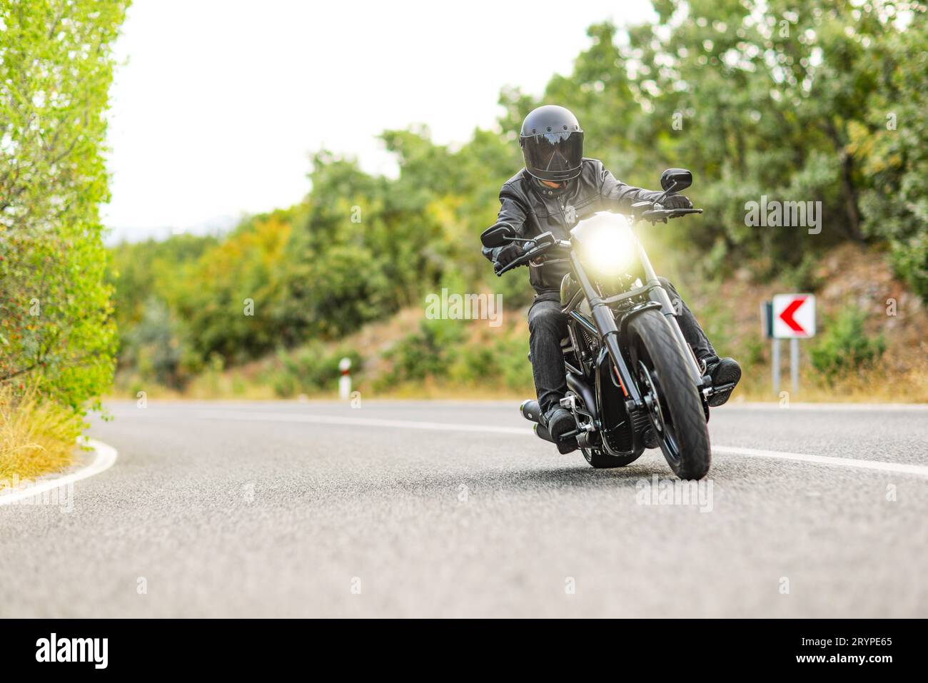Man riding a chopper bike on an asphalt road with trees on the side ...