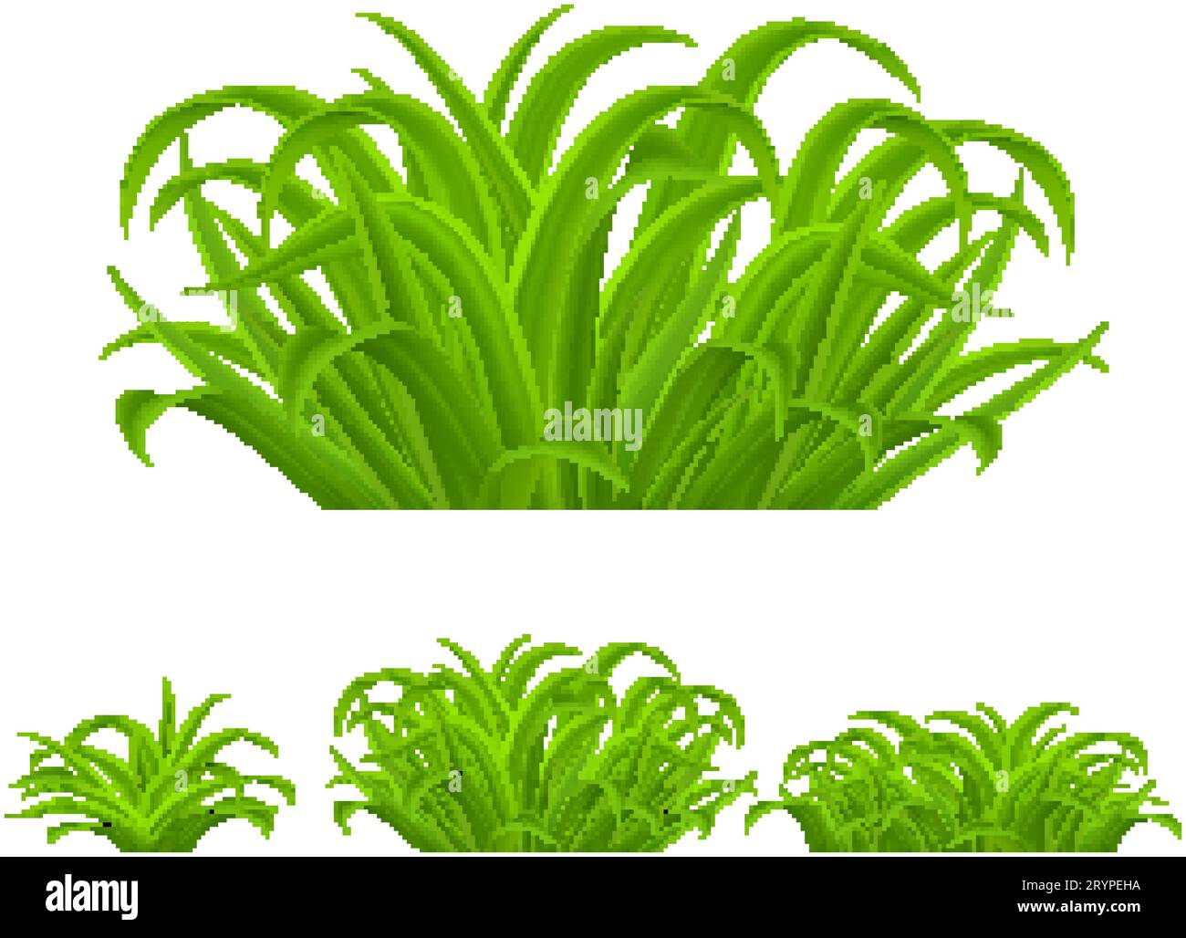 Green Grass Elements For Spring Or Nature Design Illustration On White Grass With Refractions