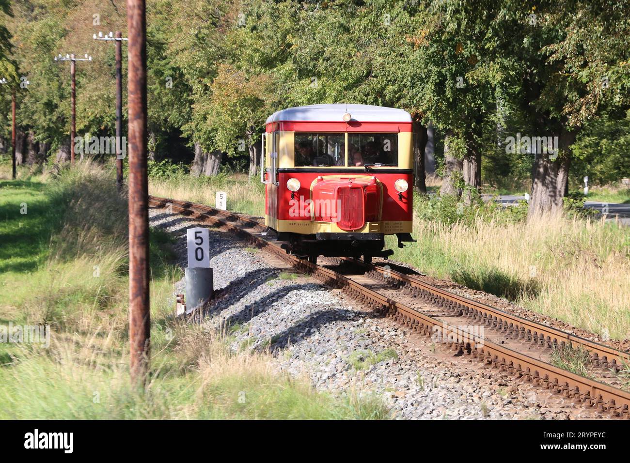 Schweineschnauzchen hi-res stock photography and images - Alamy