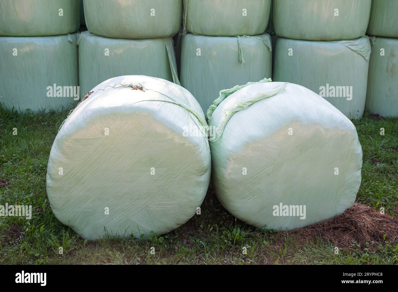 Plastic wrapping hi-res stock photography and images - Alamy