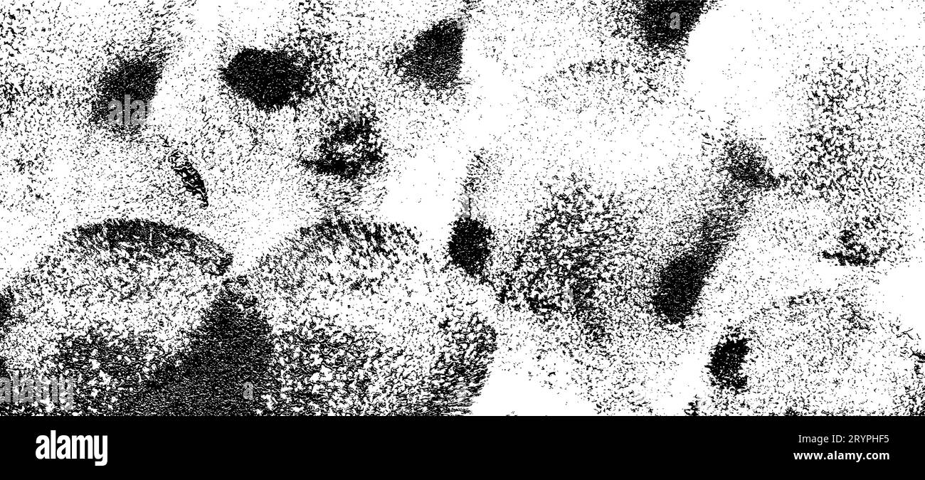 Gritty grain texture. Random speckles or specks noise paper. Retro ...