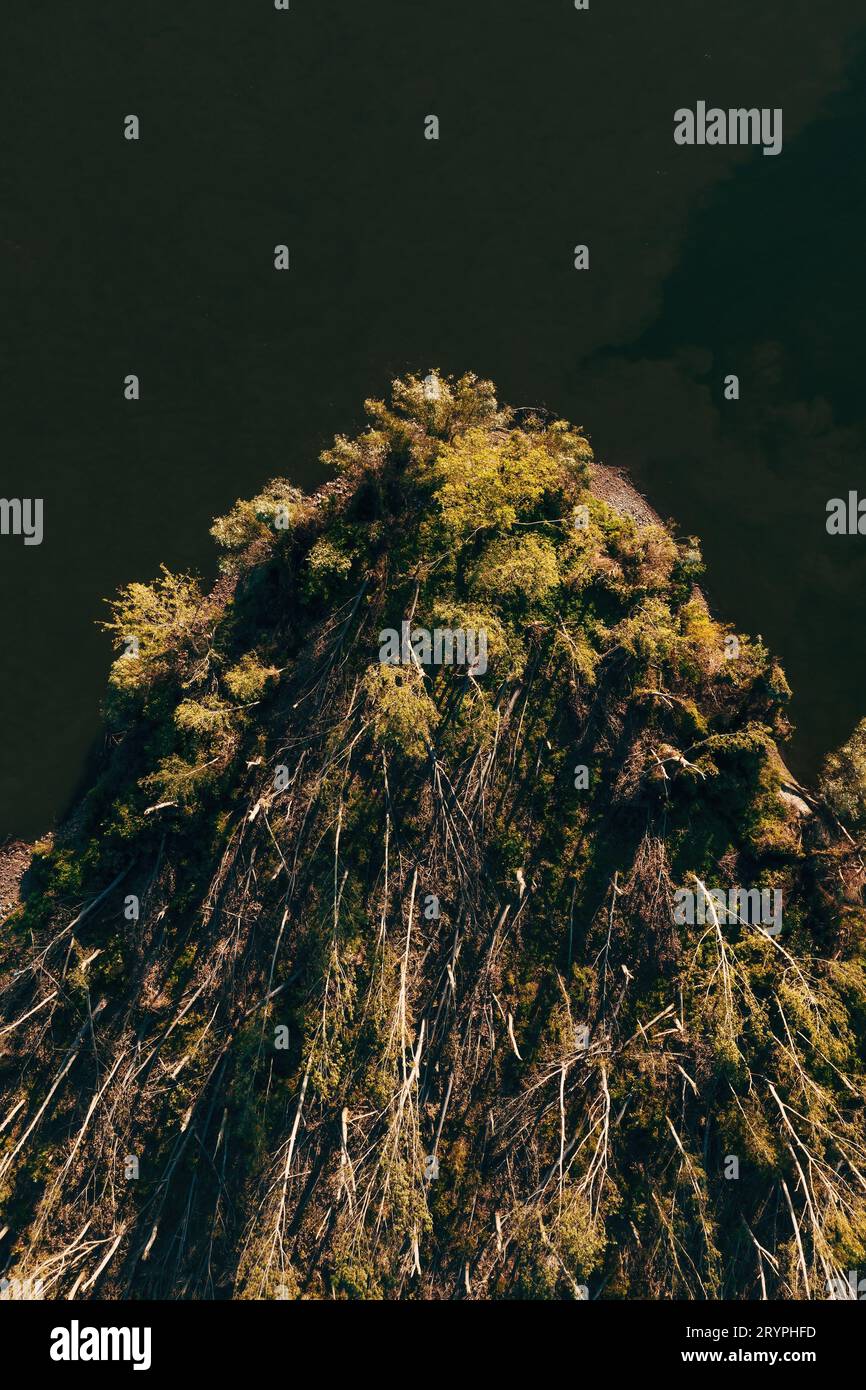 Aerial shot devastated forest hi-res stock photography and images - Alamy