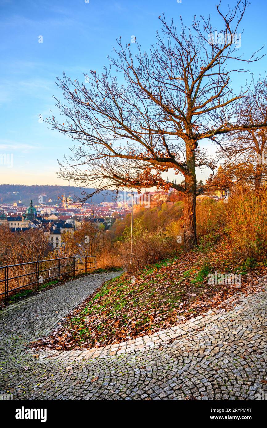Autumn time in Letna parks with colorful trees, Prague, Czech Republic ...