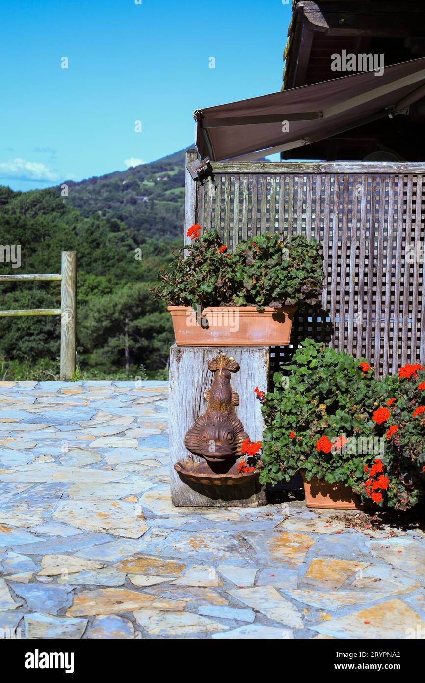 Small fountain with iron fish figure in the garden Stock Photo - Alamy