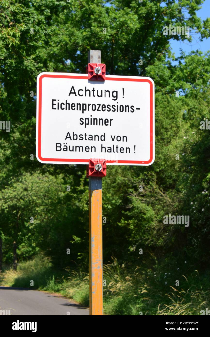 Oak Processionary Moth (Thaumetopoea processionea). Sign warning of the ...