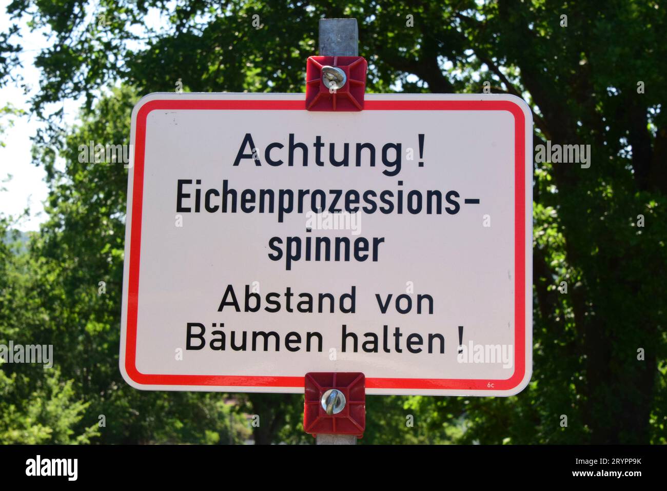 Oak Processionary Moth (Thaumetopoea processionea). Sign warning of the ...