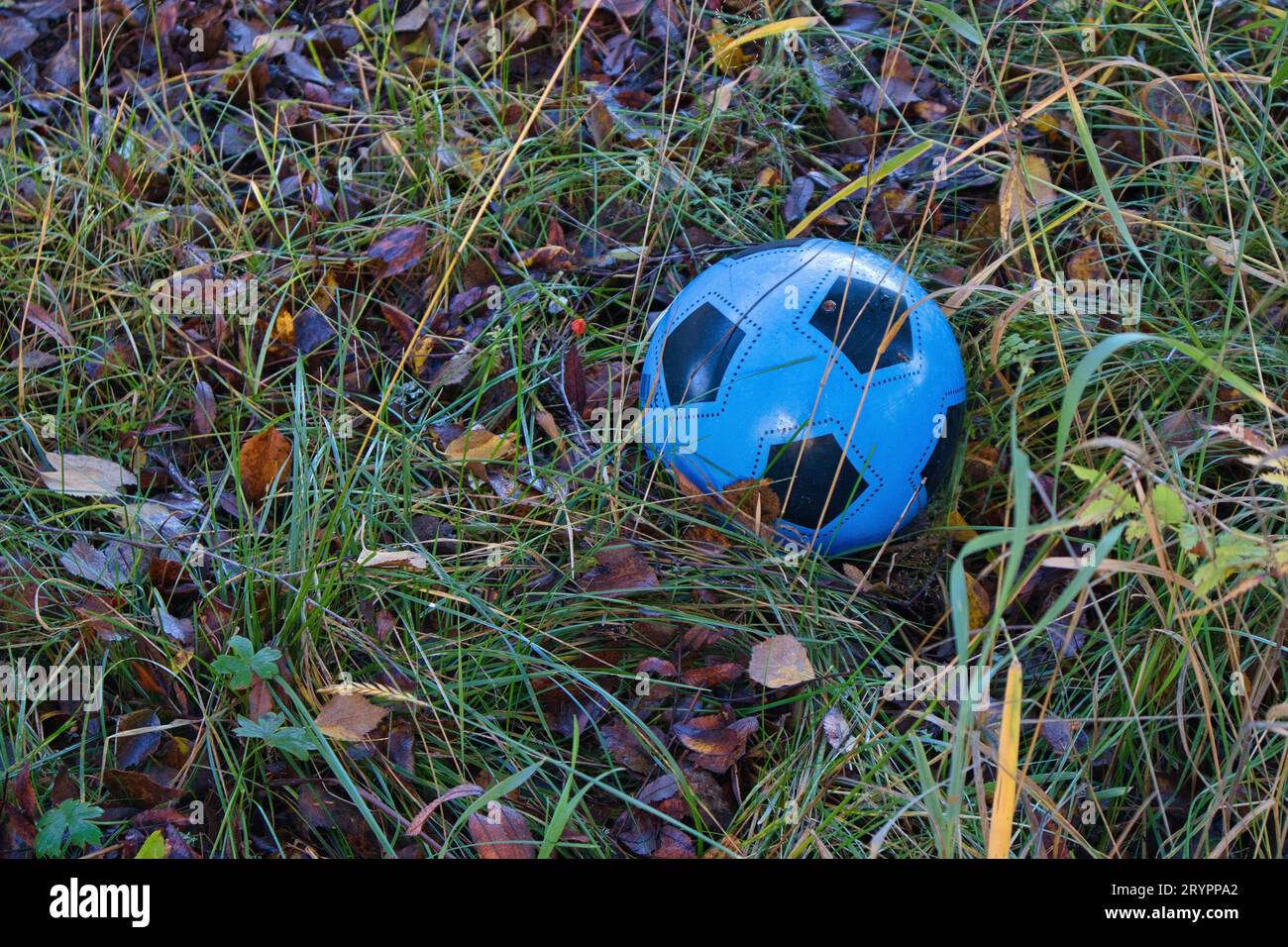 plastic soccer ball in grass Stock Photo - Alamy