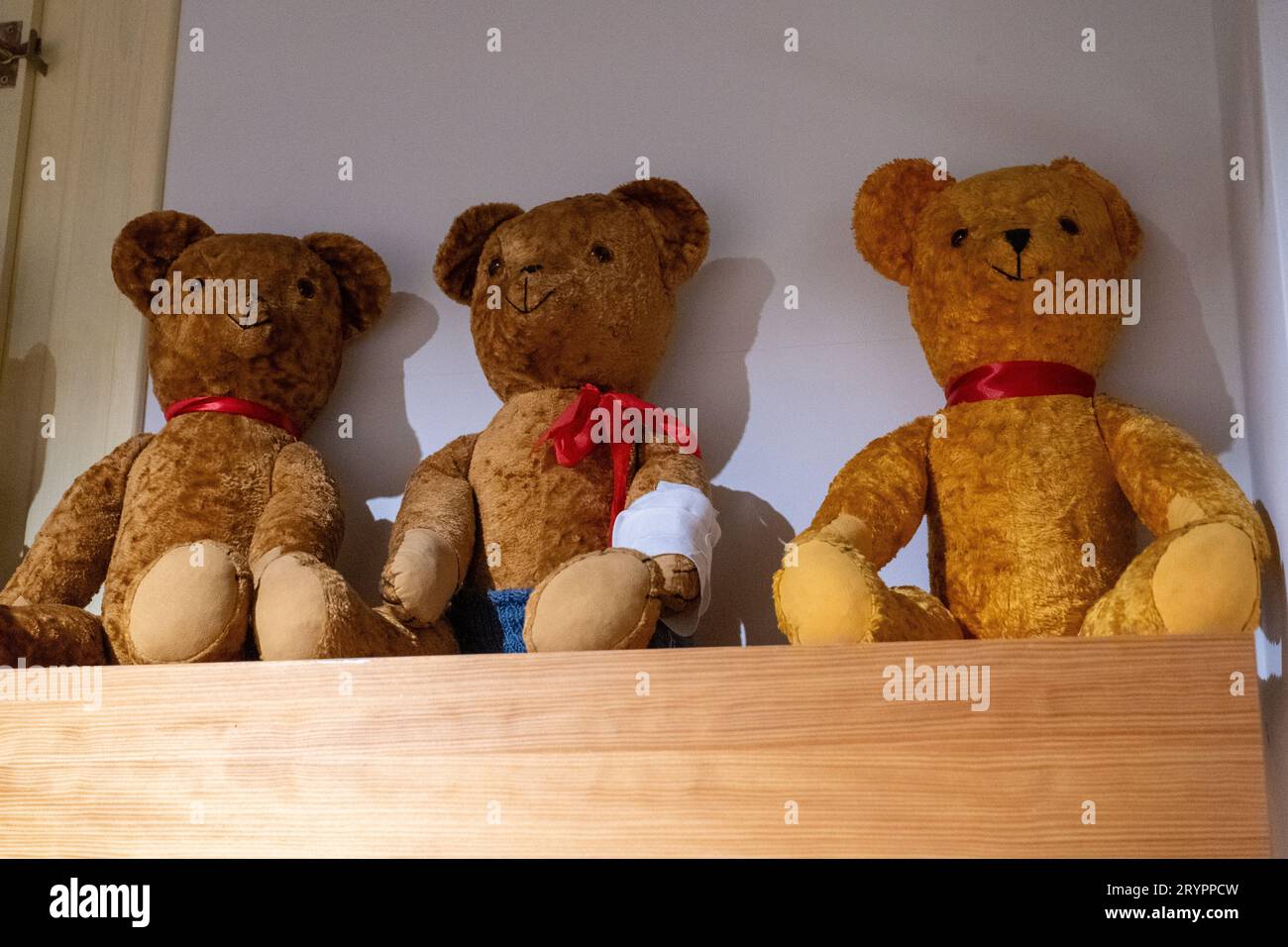 Old teddy bears. Children's toy. Ragdoll cutout. Teddy bear Stock Photo ...