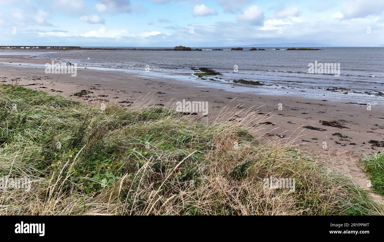 Azure maidens hi-res stock photography and images - Alamy