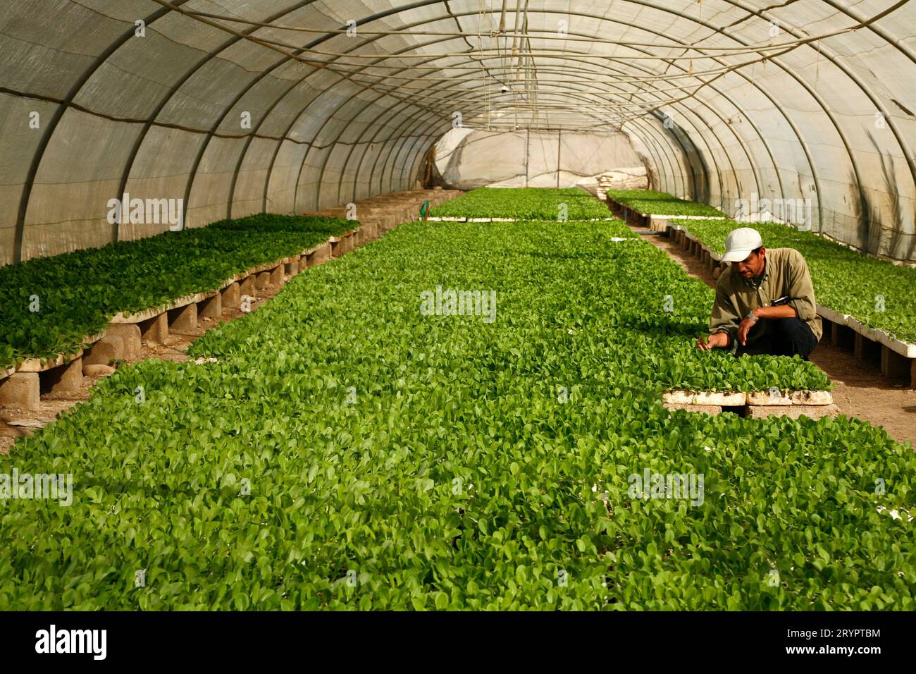 Agriculture in jordan hi-res stock photography and images - Alamy