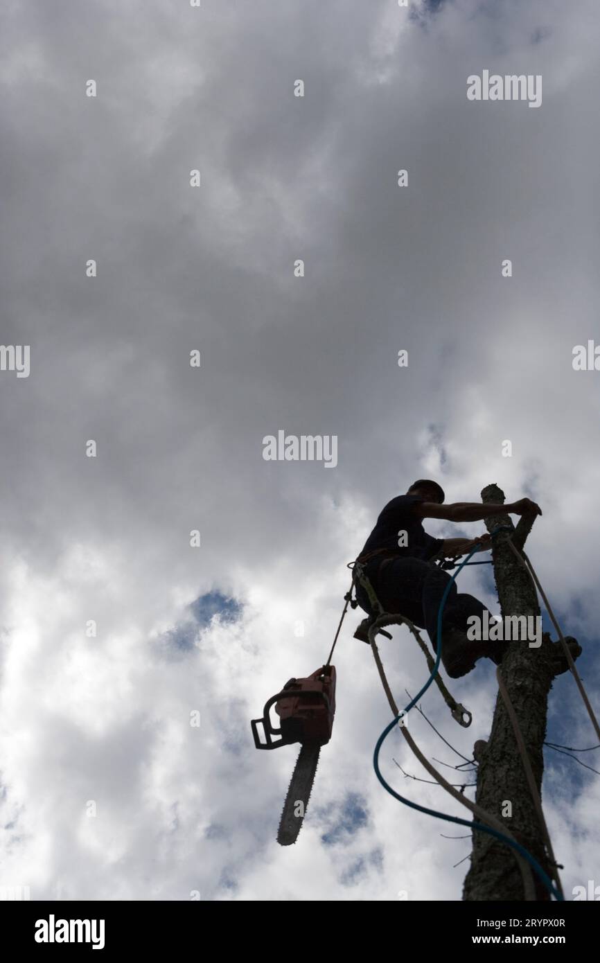 Trimmer production hi-res stock photography and images - Alamy