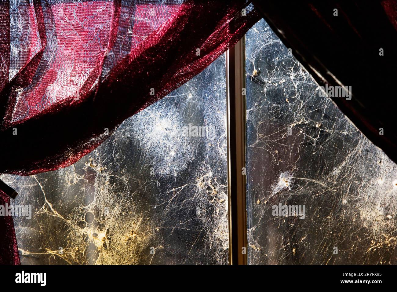 Old dirty window spider hi-res stock photography and images - Alamy