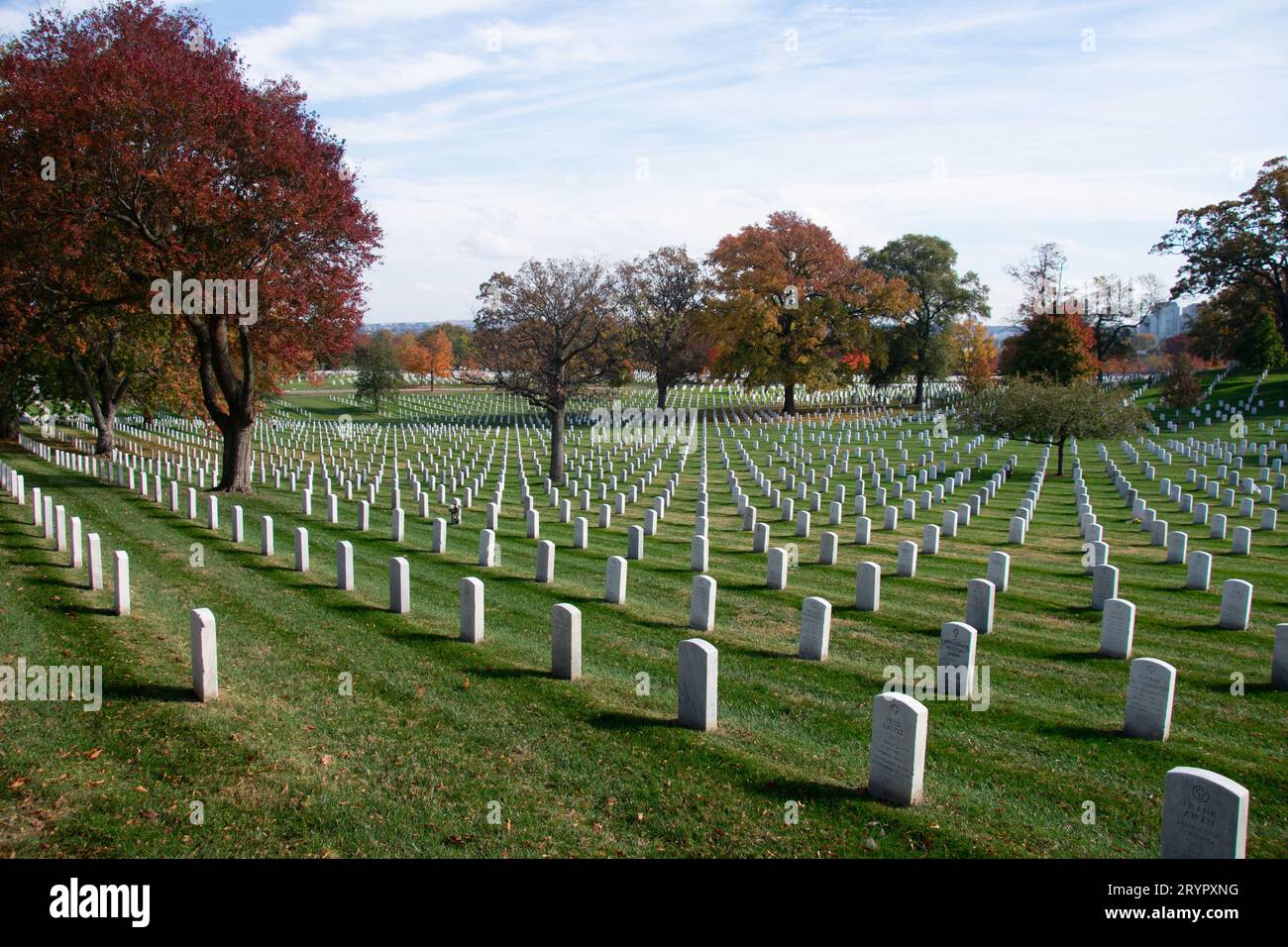 A tranquil cemetery landscape featuring an array of headstones in ...