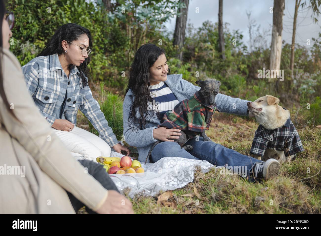 Women female friends and their dogs enjoy a picnic in nature Stock ...