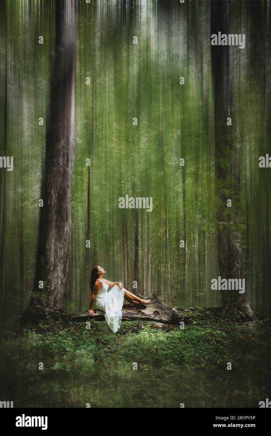 Woman in white dress sitting alone in dreamy forest setting Stock Photo ...