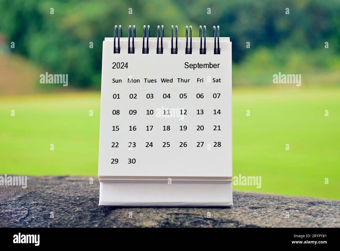 September 2024 white calendar with green blurred background. New year ...