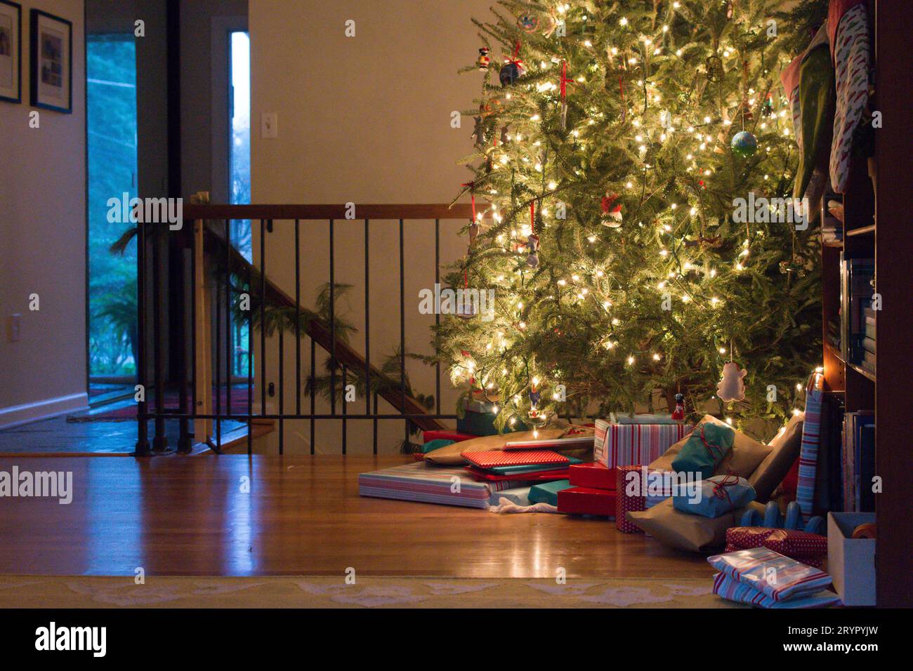 No presents under the tree hi-res stock photography and images - Alamy