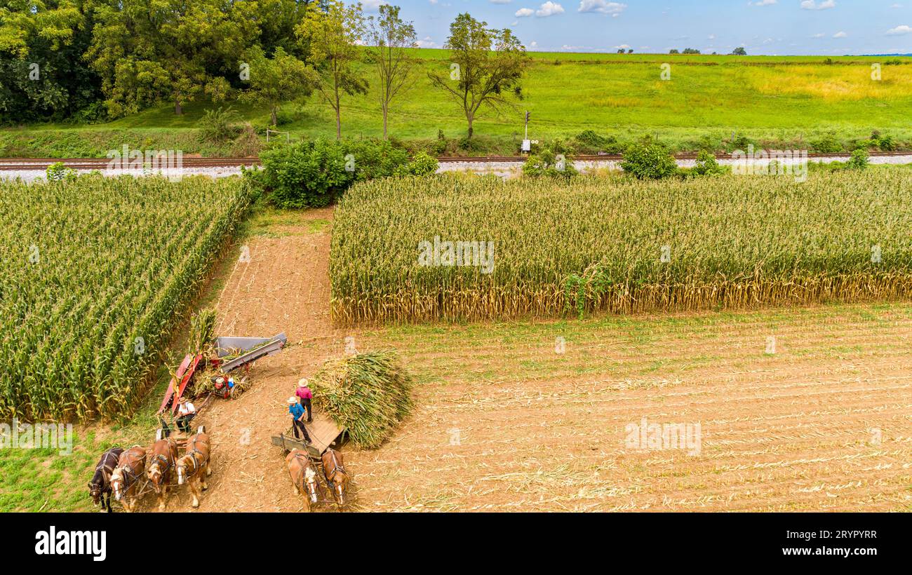 Ronks, Pennsylvania, September 11, 2021 - An Aerial View of Six Horses ...