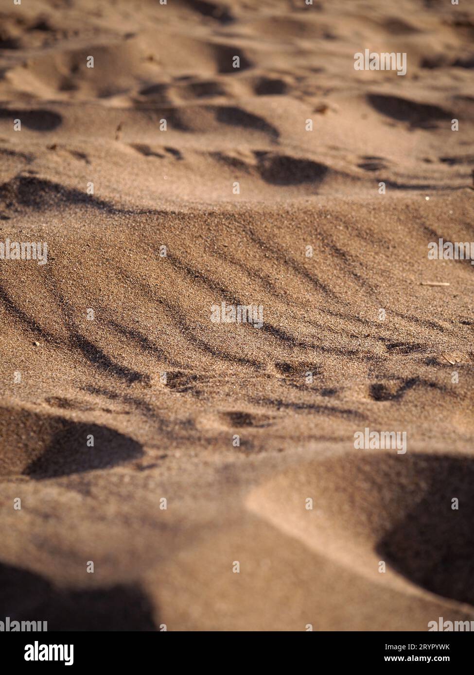Close up textured beach sand hi-res stock photography and images - Alamy