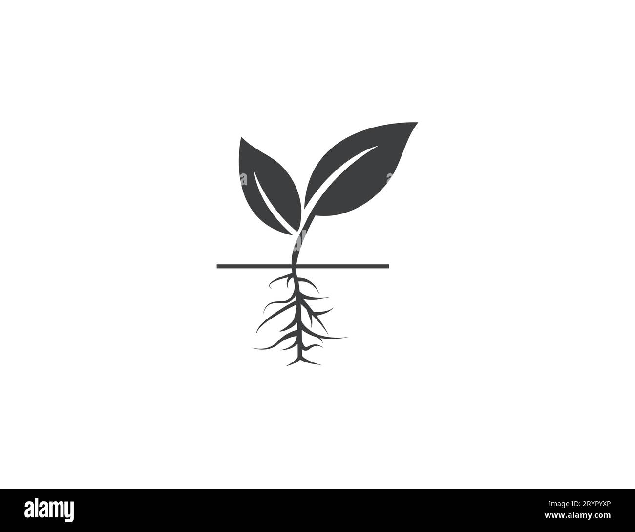 Plant, roots icon. Vector illustration Stock Vector Image & Art - Alamy