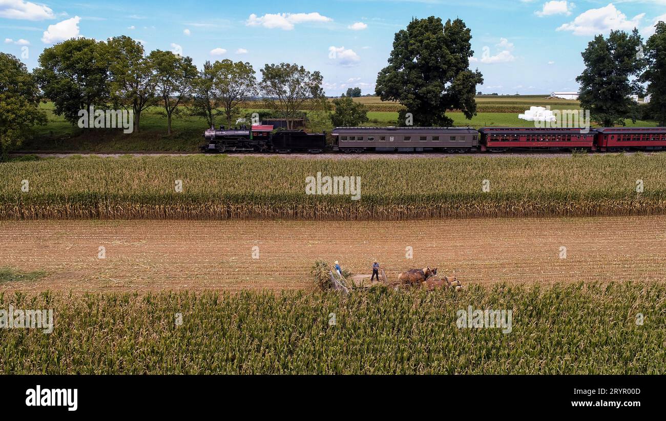 An Aerial View of Six Horses Pulling an Amish Harvesting Corn Stalk ...