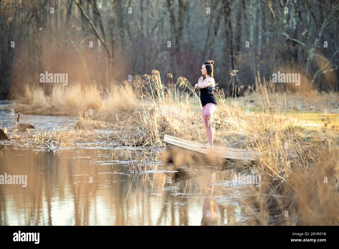 Yoga tree pose trees hi-res stock photography and images - Alamy