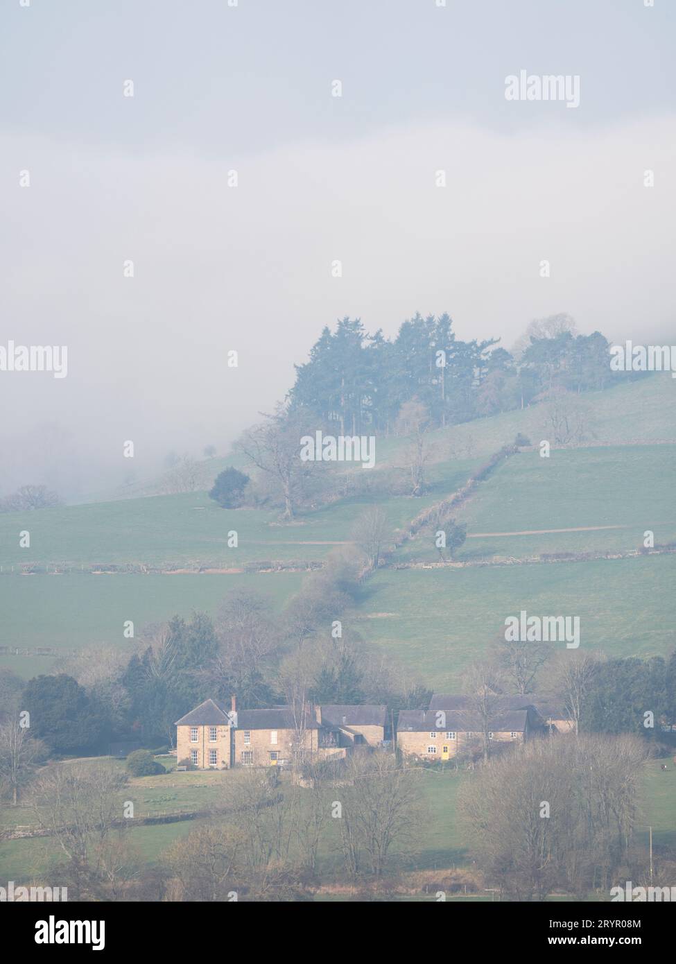 Ash trees border field hi-res stock photography and images - Alamy