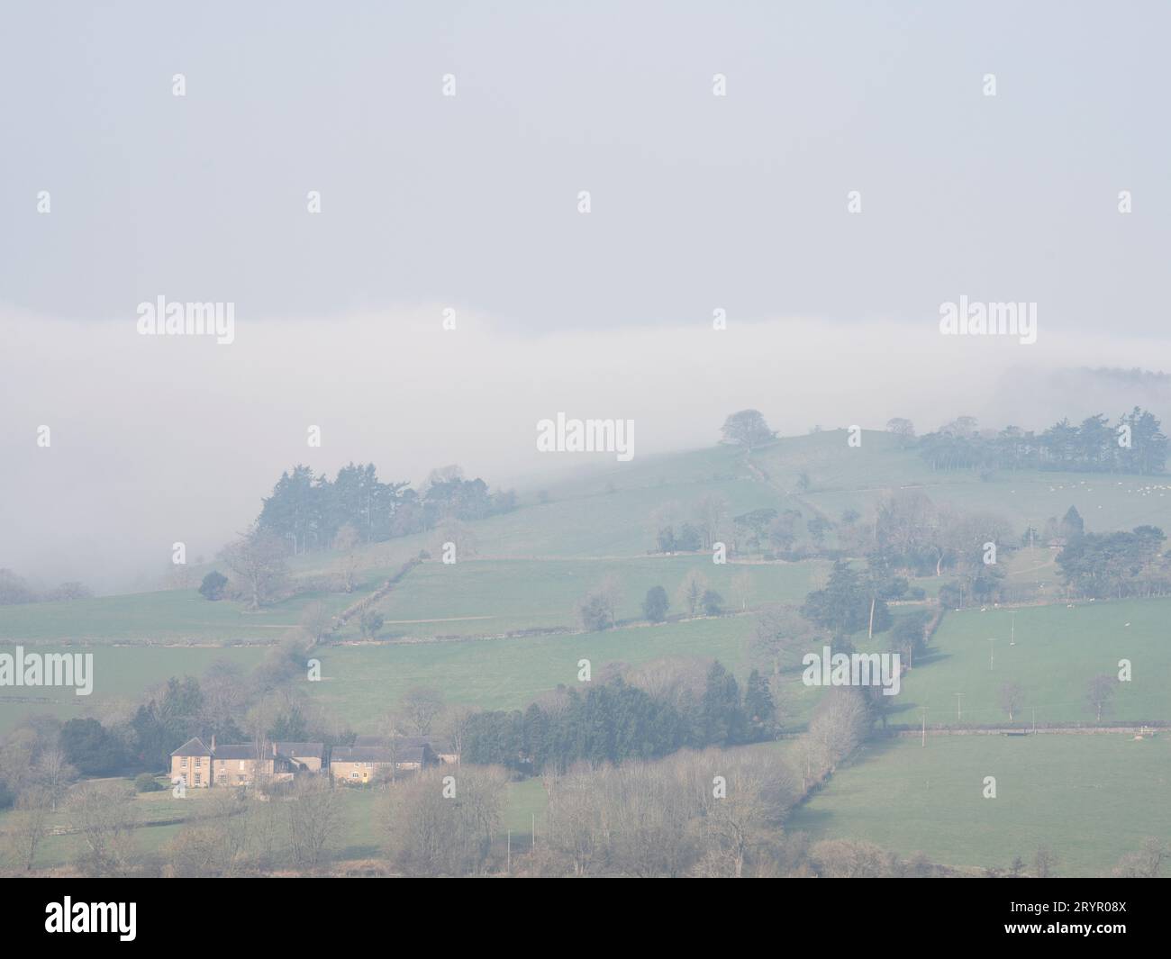 Ash trees border field hi-res stock photography and images - Alamy