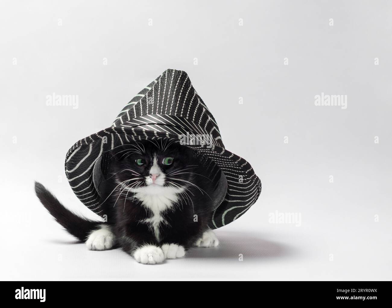 Black and white striped hat hi-res stock photography and images - Alamy