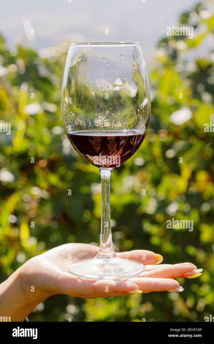 Hand holding red wine glass silhouette hi-res stock photography and ...