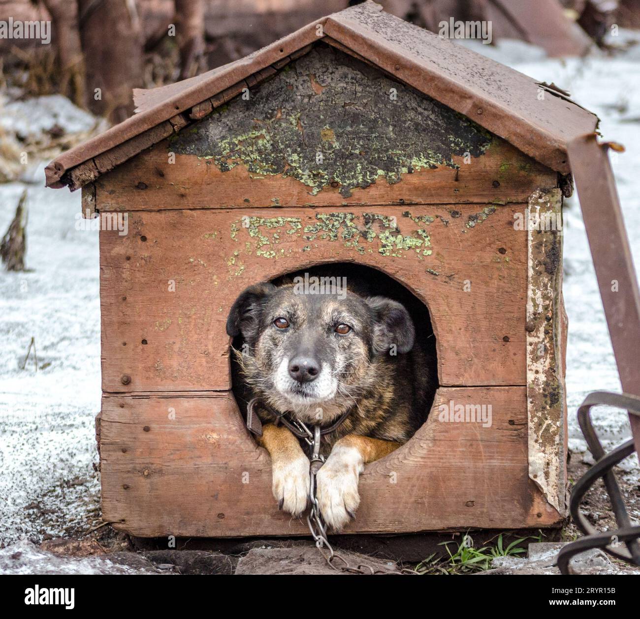 The old sang hi-res stock photography and images - Alamy
