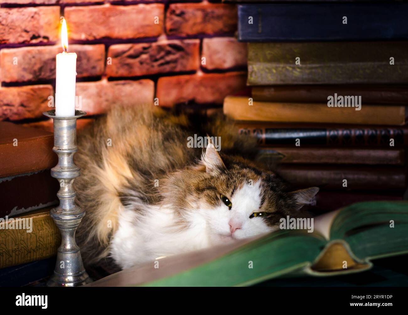 Old book candle on hi-res stock photography and images - Alamy