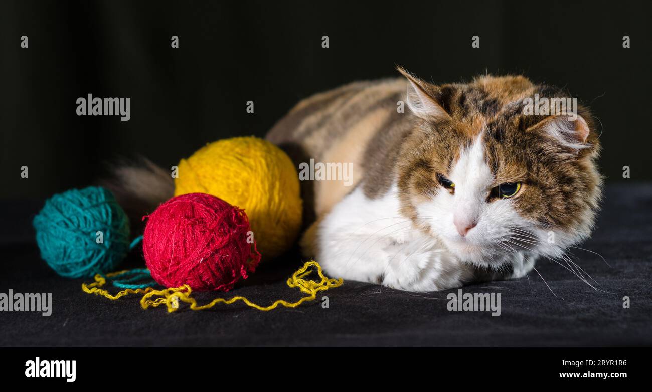 Red and yellow balls hi-res stock photography and images - Alamy