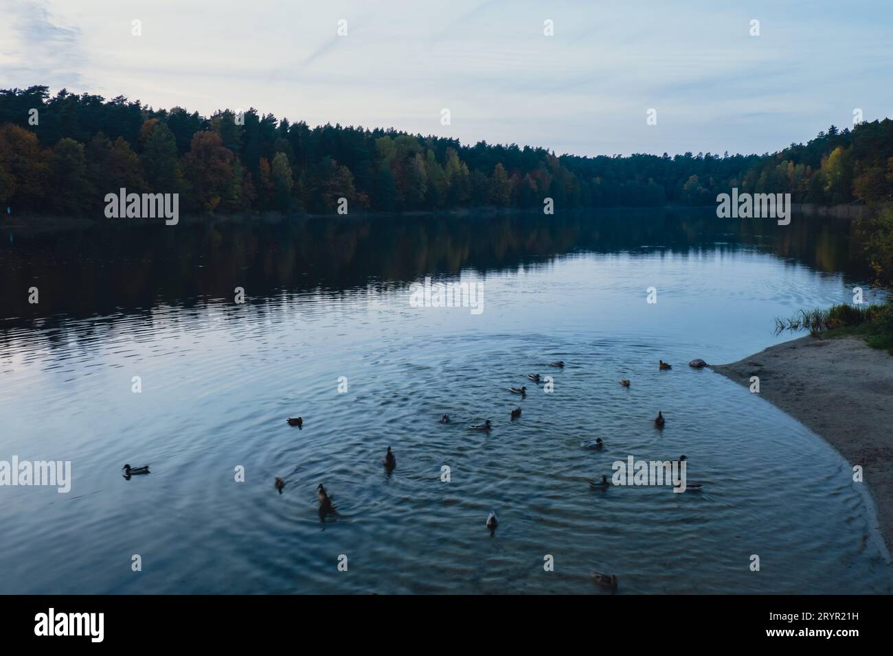 Stunningly beautiful lake in the golden autumn season. Magical multi ...
