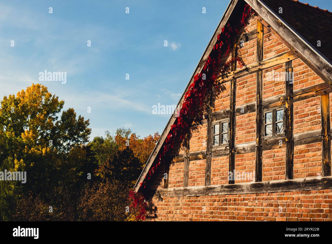 Old brick wall leaves hi-res stock photography and images - Alamy