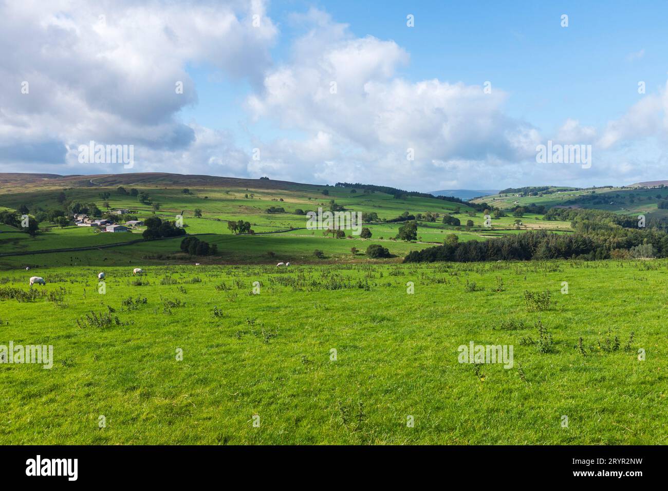 A scenic view of the lush green countryside of Swaledale near Richmond ...