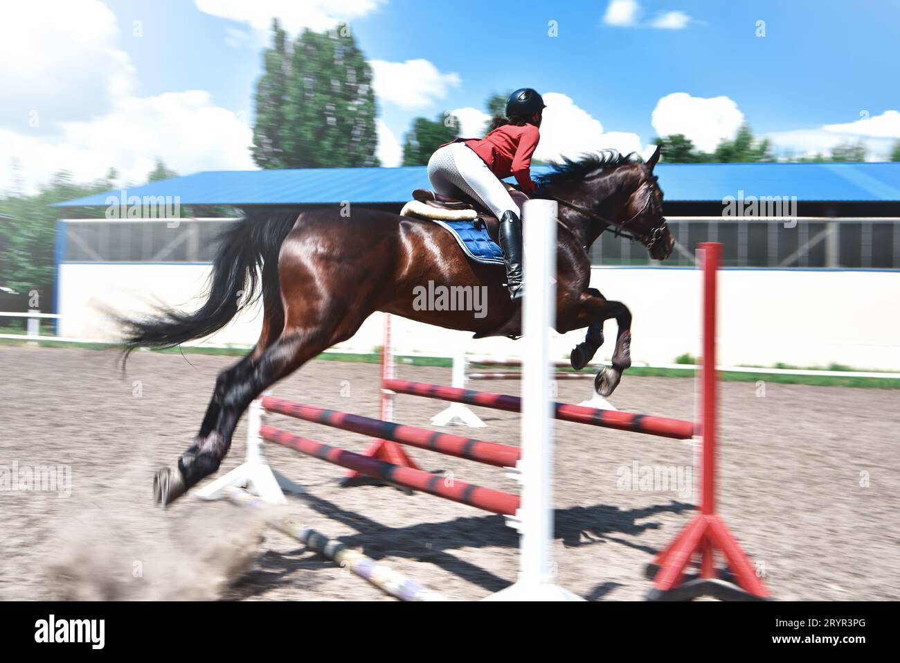 Young female jockey on horse leaping over hurdle. equestrian Stock ...